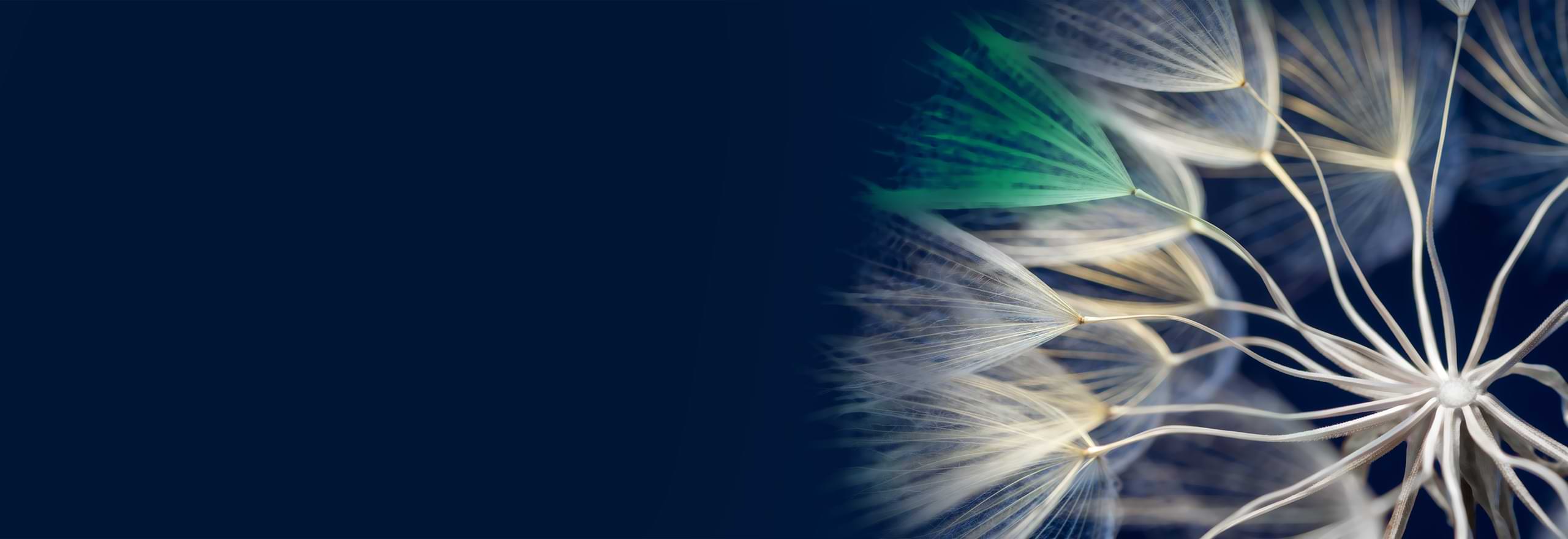 Cappitech - Future Proofed Transaction Reporting Solutions