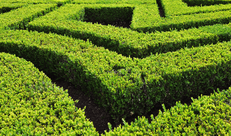 Trade Reconciliation: Why you need it? - Cappitech